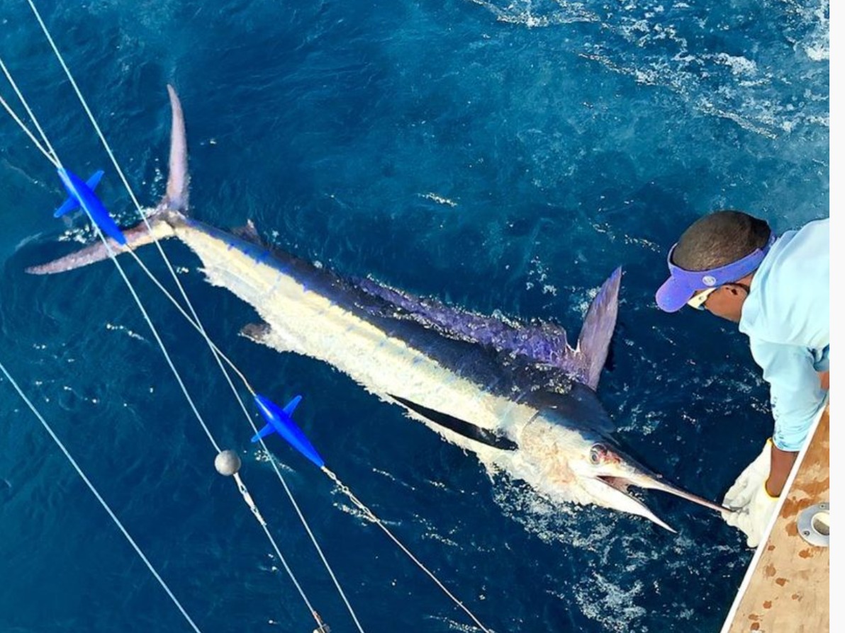Offshore Big Game Fishing in Costa Rica | Outguided