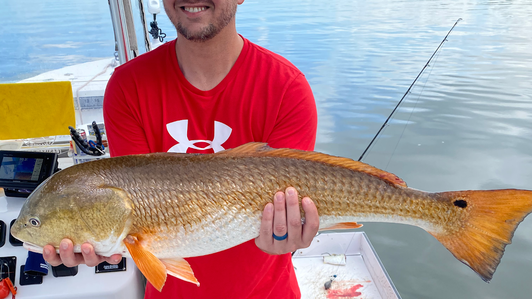 Full Day Inshore Fishing Charters Off the Coast of Charleston | Outguided