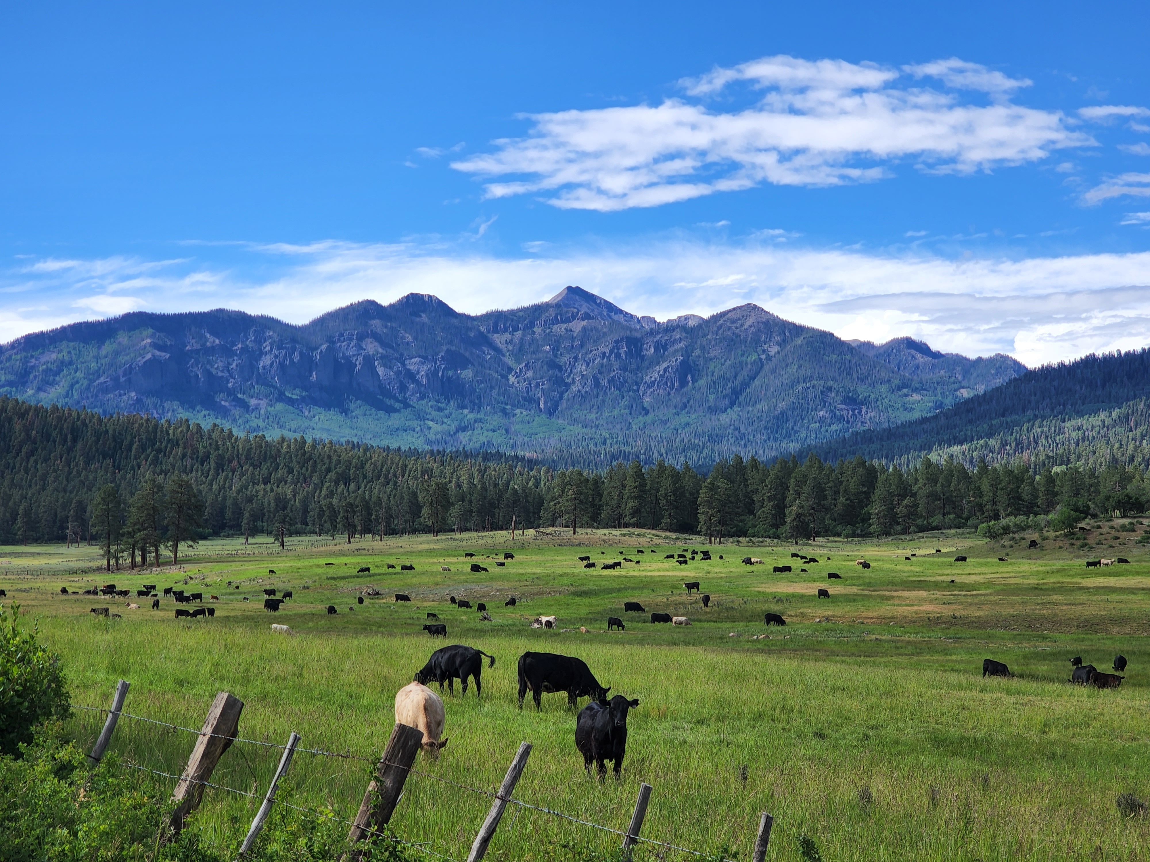 Backpacking Adventure - San Juan Wilderness | Outguided