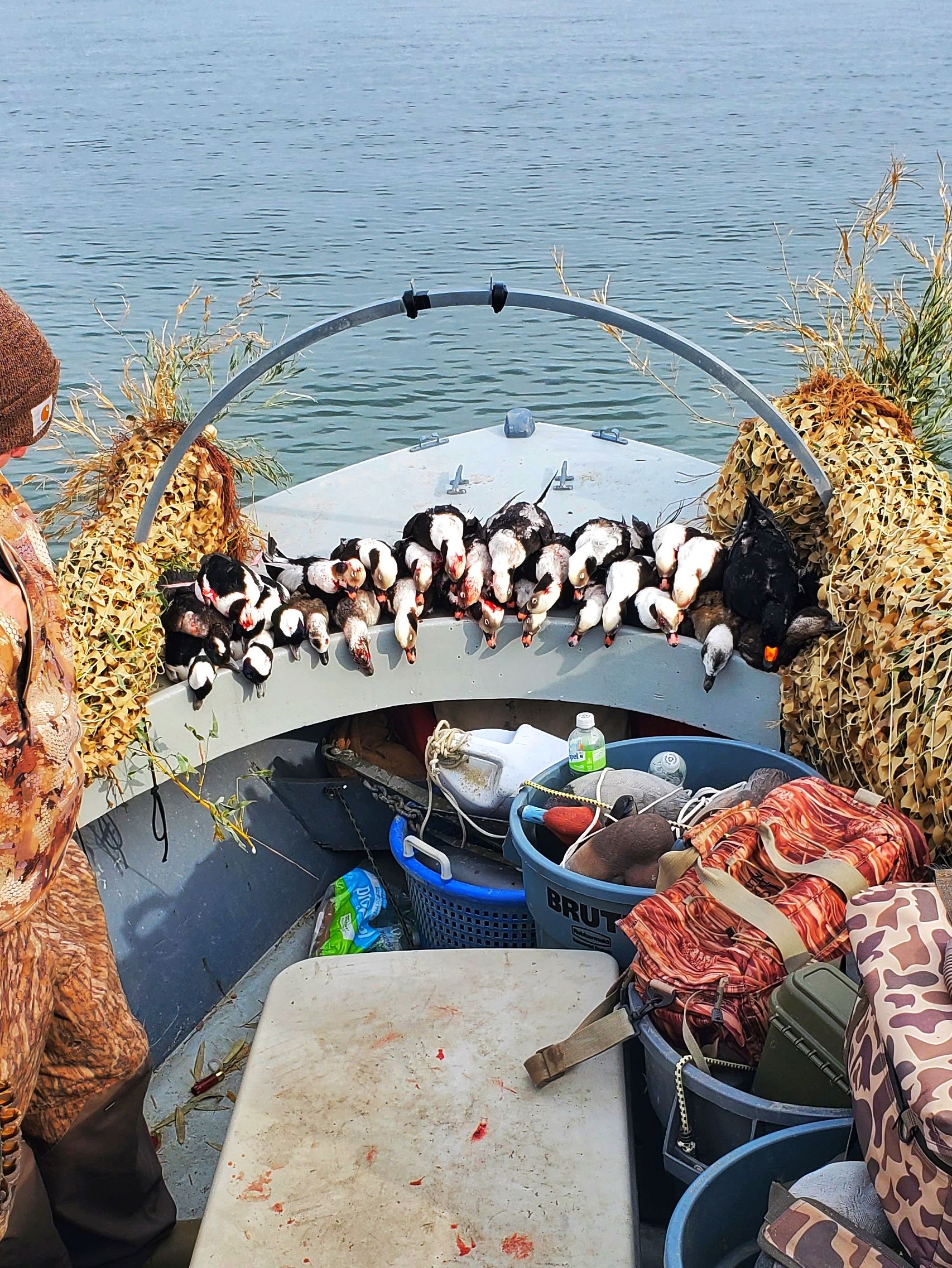 Sea Duck Hunt | Outguided