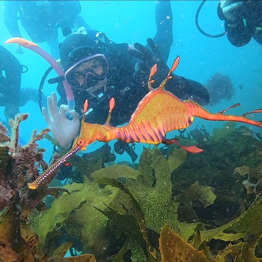 Dive Centre Manly | Outguided