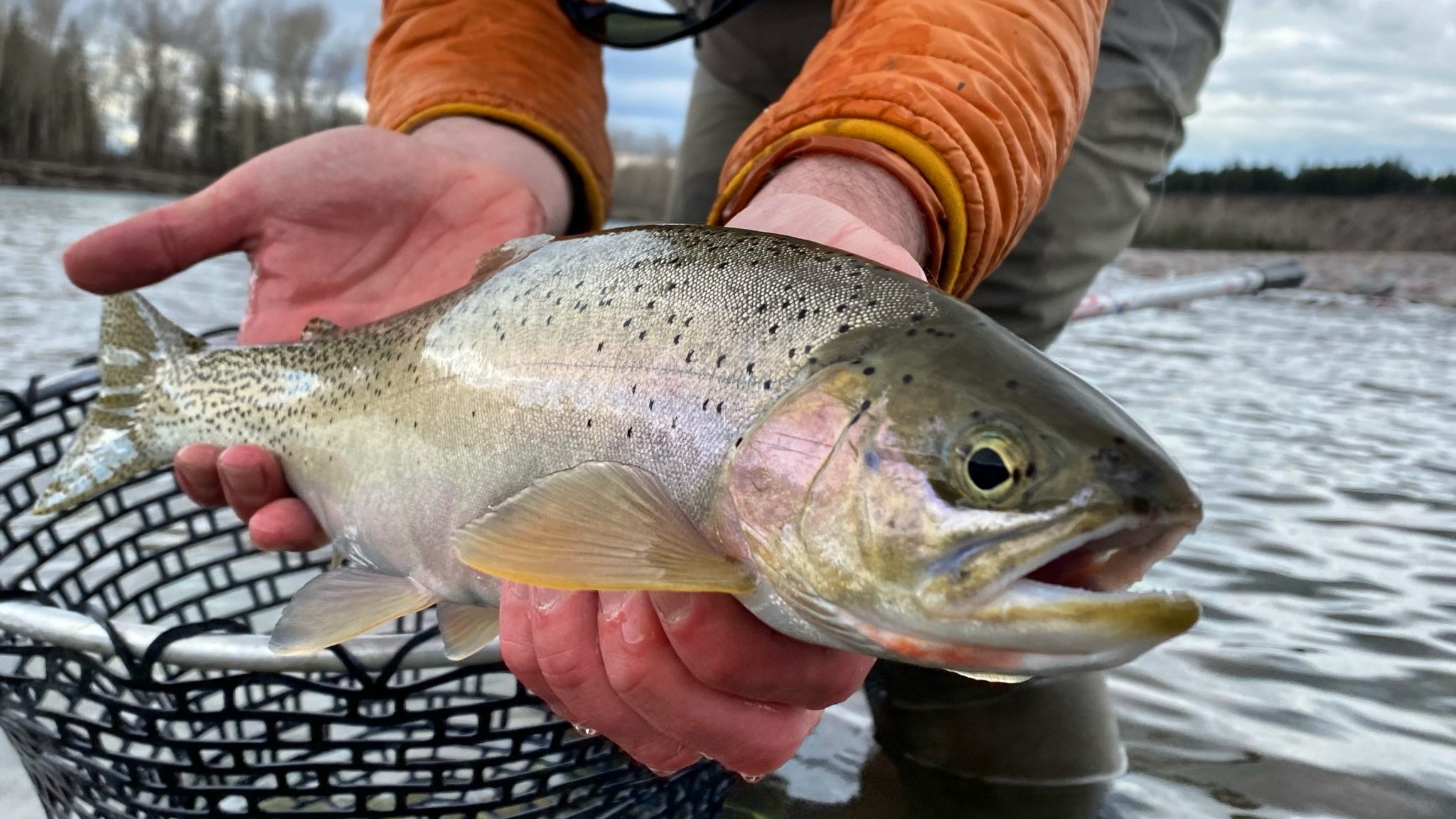 Flathead River Float Trip | Outguided