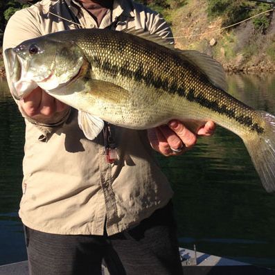Foothill Lake Bass Fishing - Full Day | Outguided