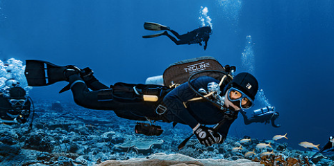 Diving competition | Outguided