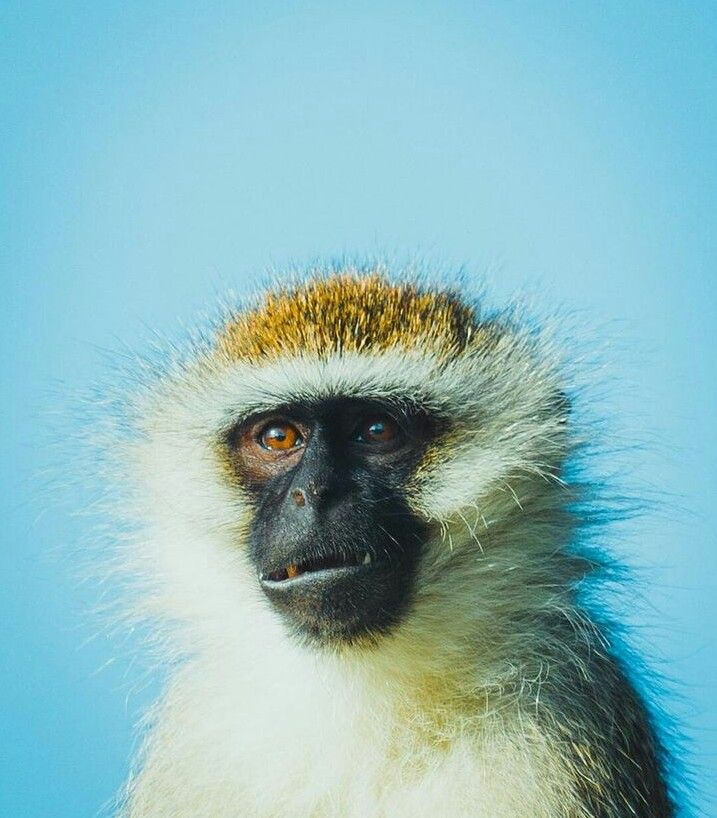 1 DAY RWANDA AKAGERA NATIONAL PARK GAME DRIVE | Outguided