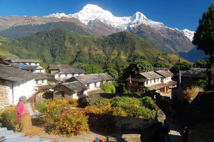 Ghorepani Poon Hill Trek | Outguided