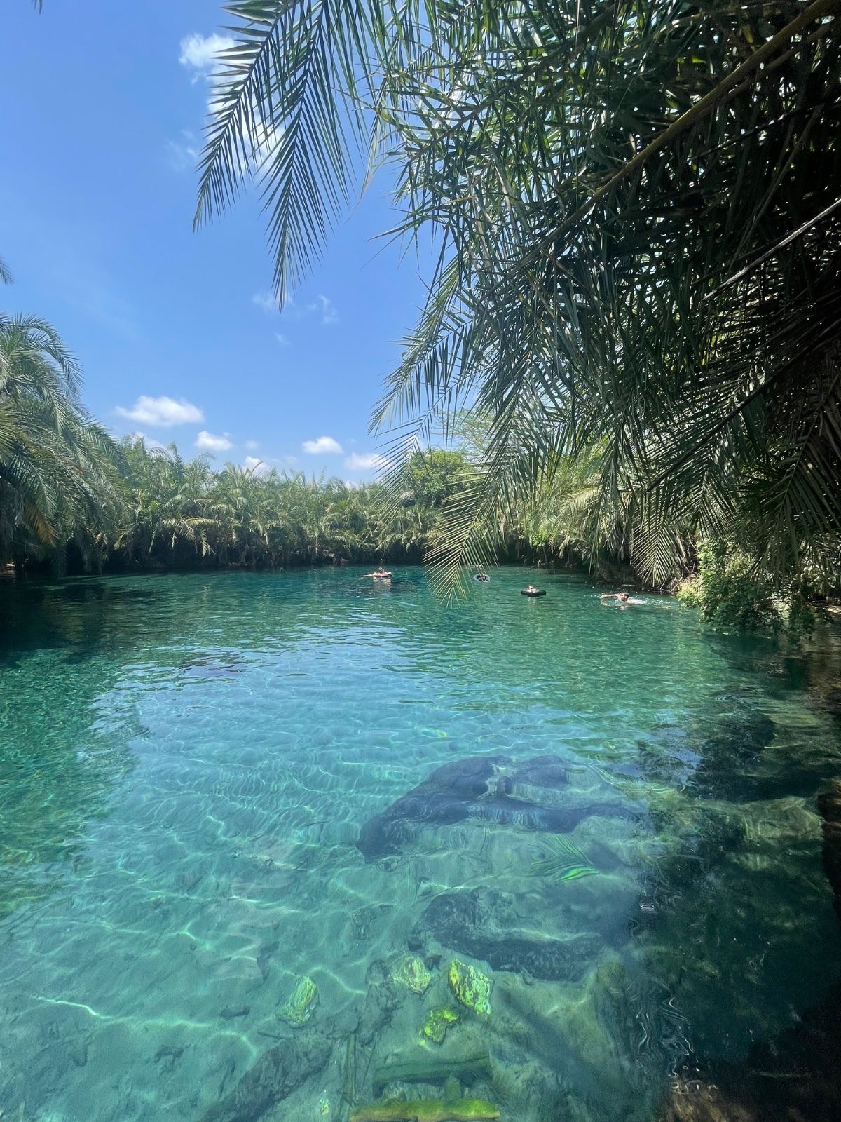 Kikuletwa Chemka Hot Spring | Outguided