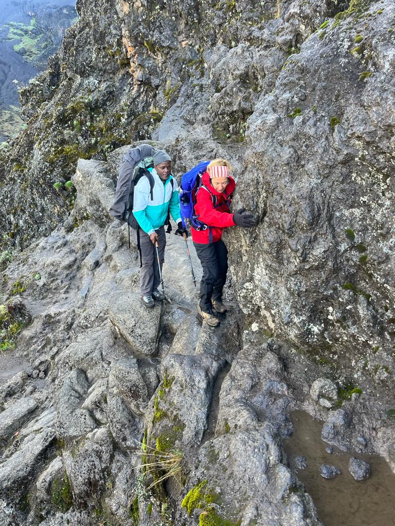 Kilimanjaro climb 7 Days via Rongai Route | Outguided