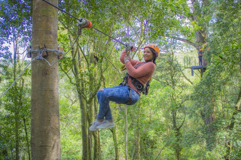 Canopy Tour Through the Trees | Outguided