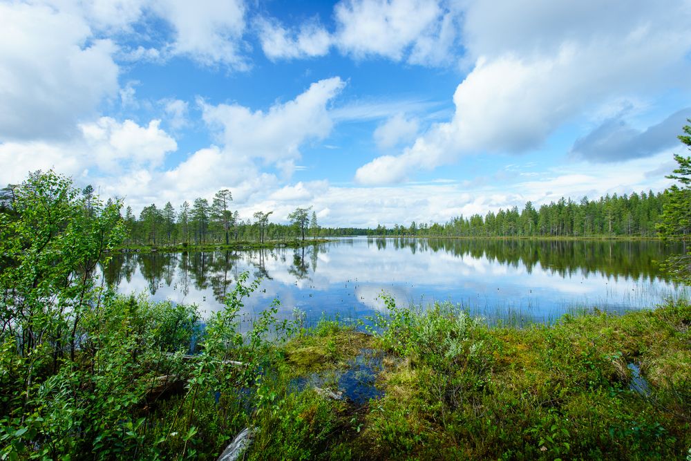 Backpacking trip-Solitude in Pasvik Valley (Norway, available in ...