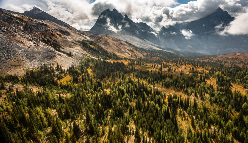 Marvel Pass Tour in Beautiful Banff National Park | Outguided