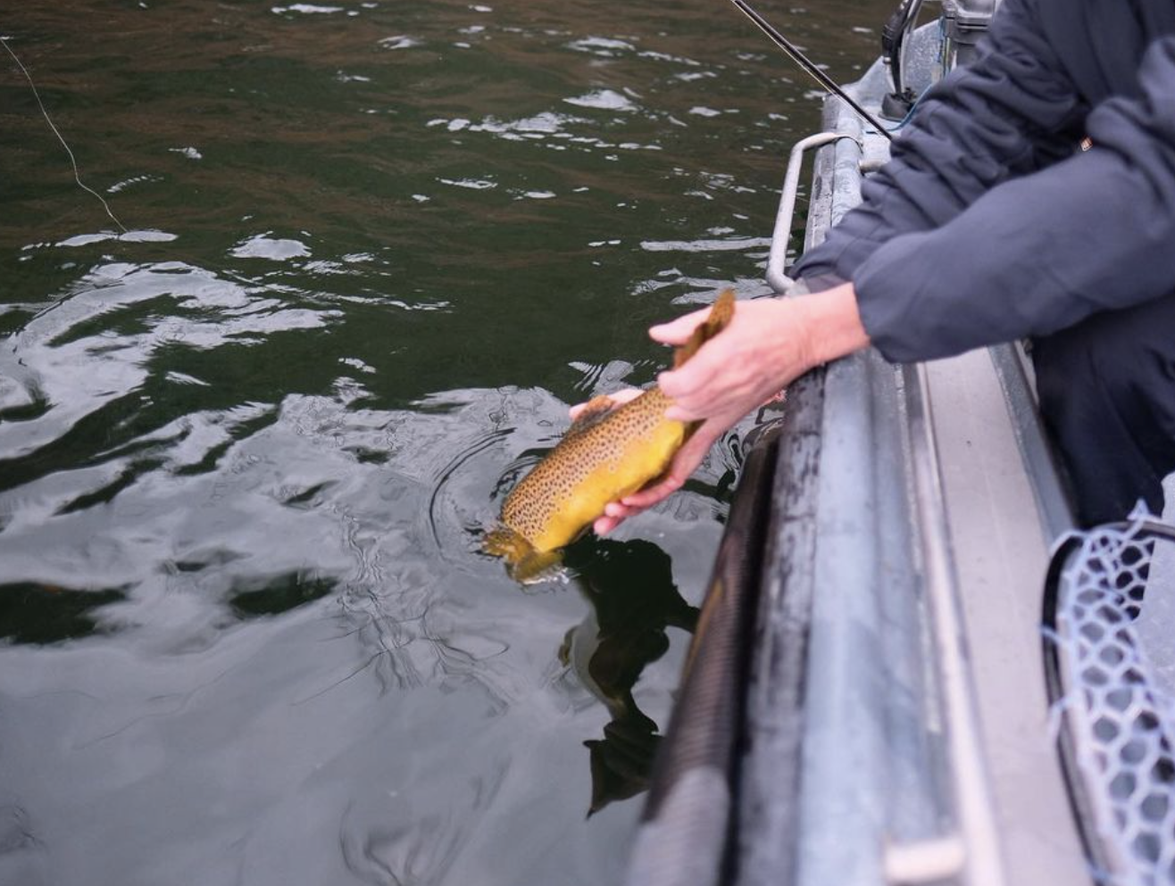 Full Day of Fishing Along the Norfork River | Outguided