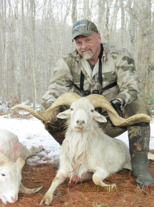 3 Day Texas Dall Ram Hunt in Tennessee | Outguided