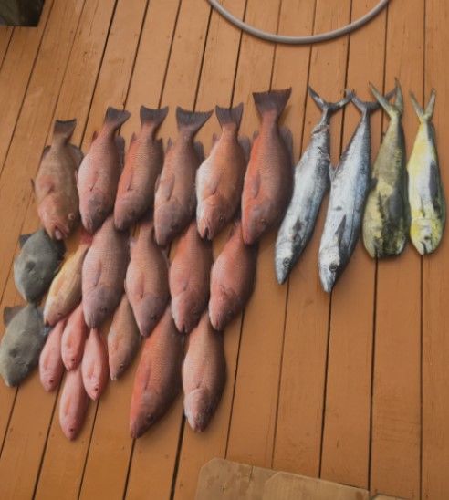 Shark Fishing Ponce Inlet