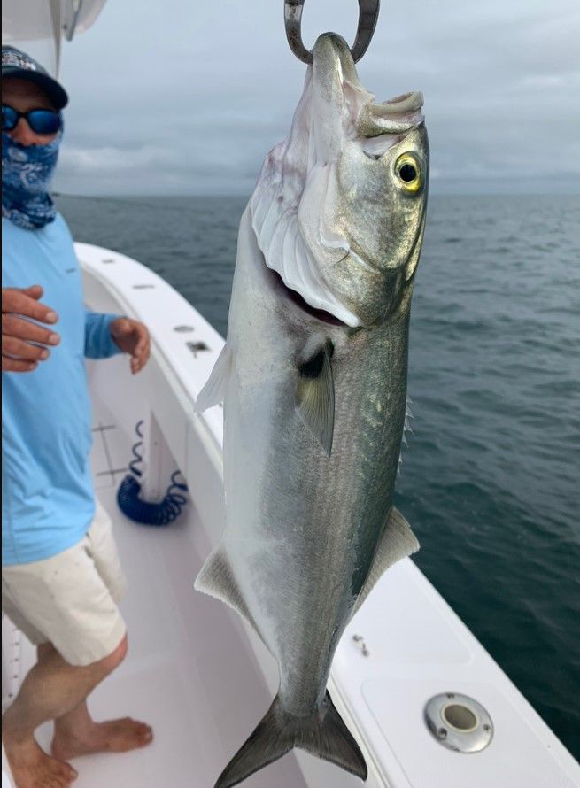 8-Hour Cape Cod Fishing Charter | Outguided