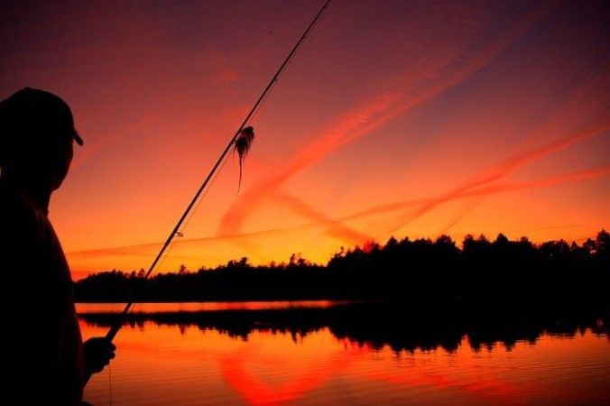 Full-Day Northern Pike Wisconsin Fly Fishing | Outguided