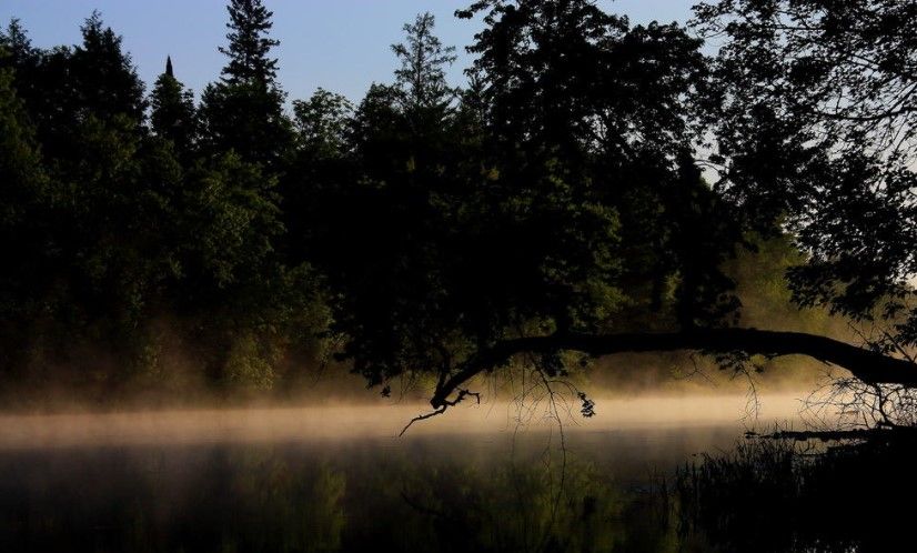 Full-Day Northern Pike Wisconsin Fly Fishing | Outguided