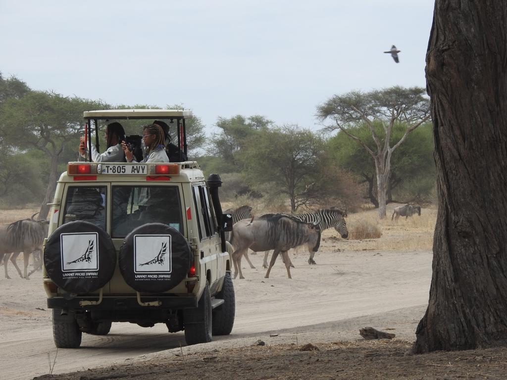11 Days (North Serengeti Migration) - Tarangire, Lake Manyara, Lake ...