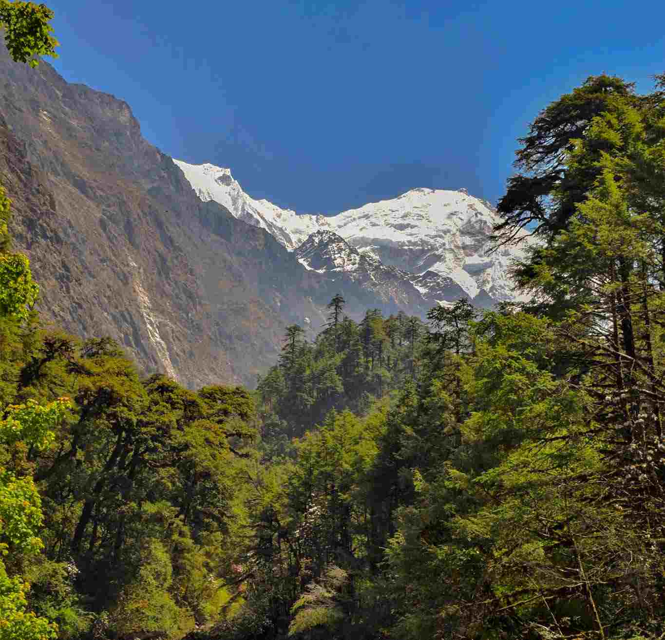 Yala Peak Climbing | Outguided