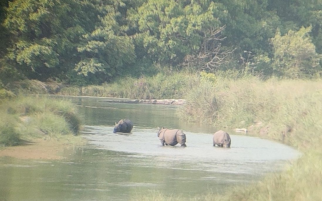 Bardiya National Park Safari | Outguided