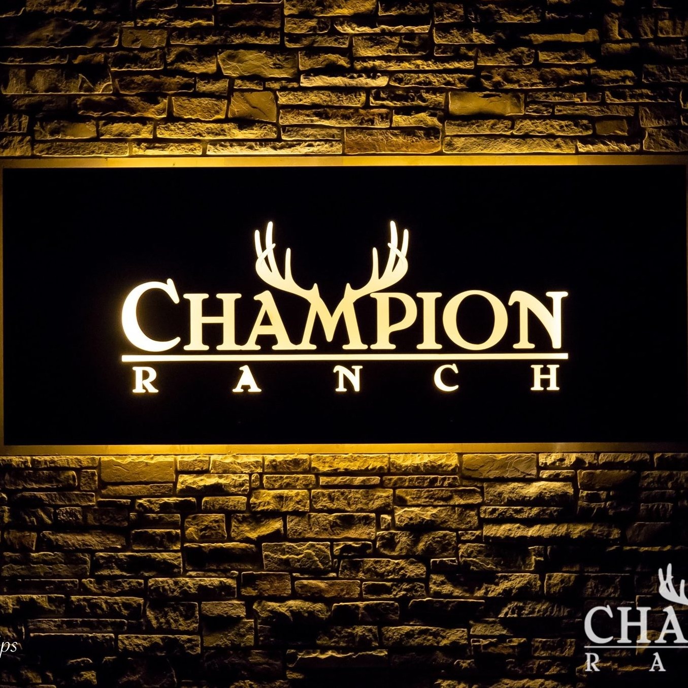 Champion Ranch | Outguided