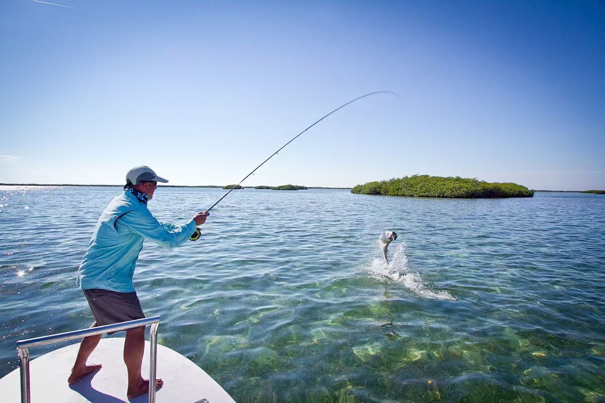 Go fishing | Outguided