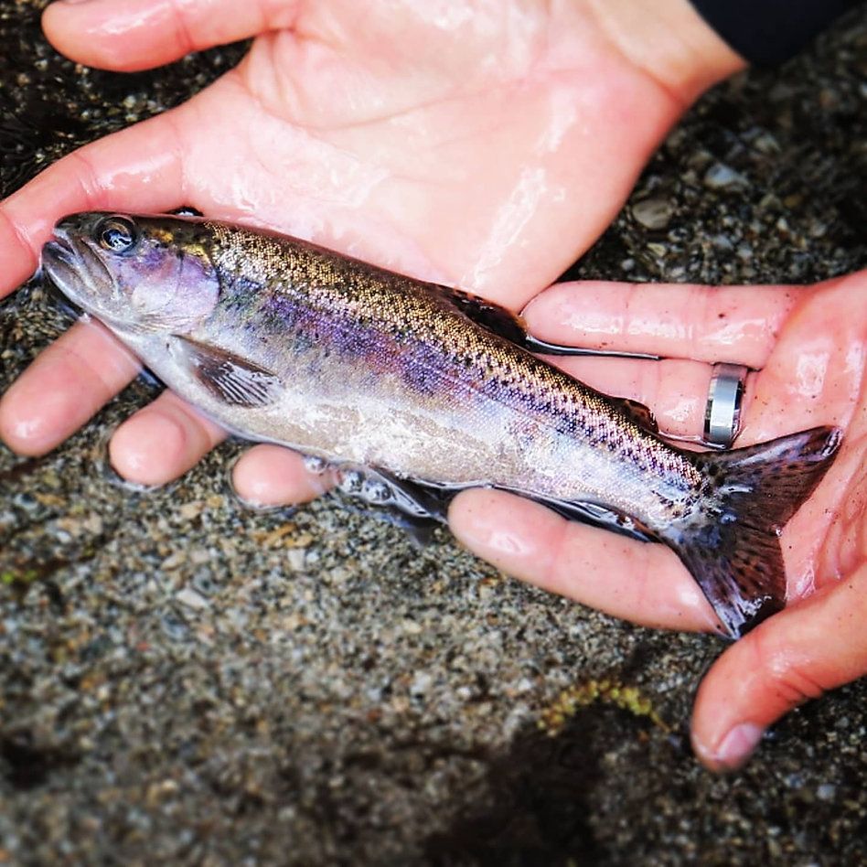 4 Hour Tenkara Fly Fishing in Los Angeles | Outguided