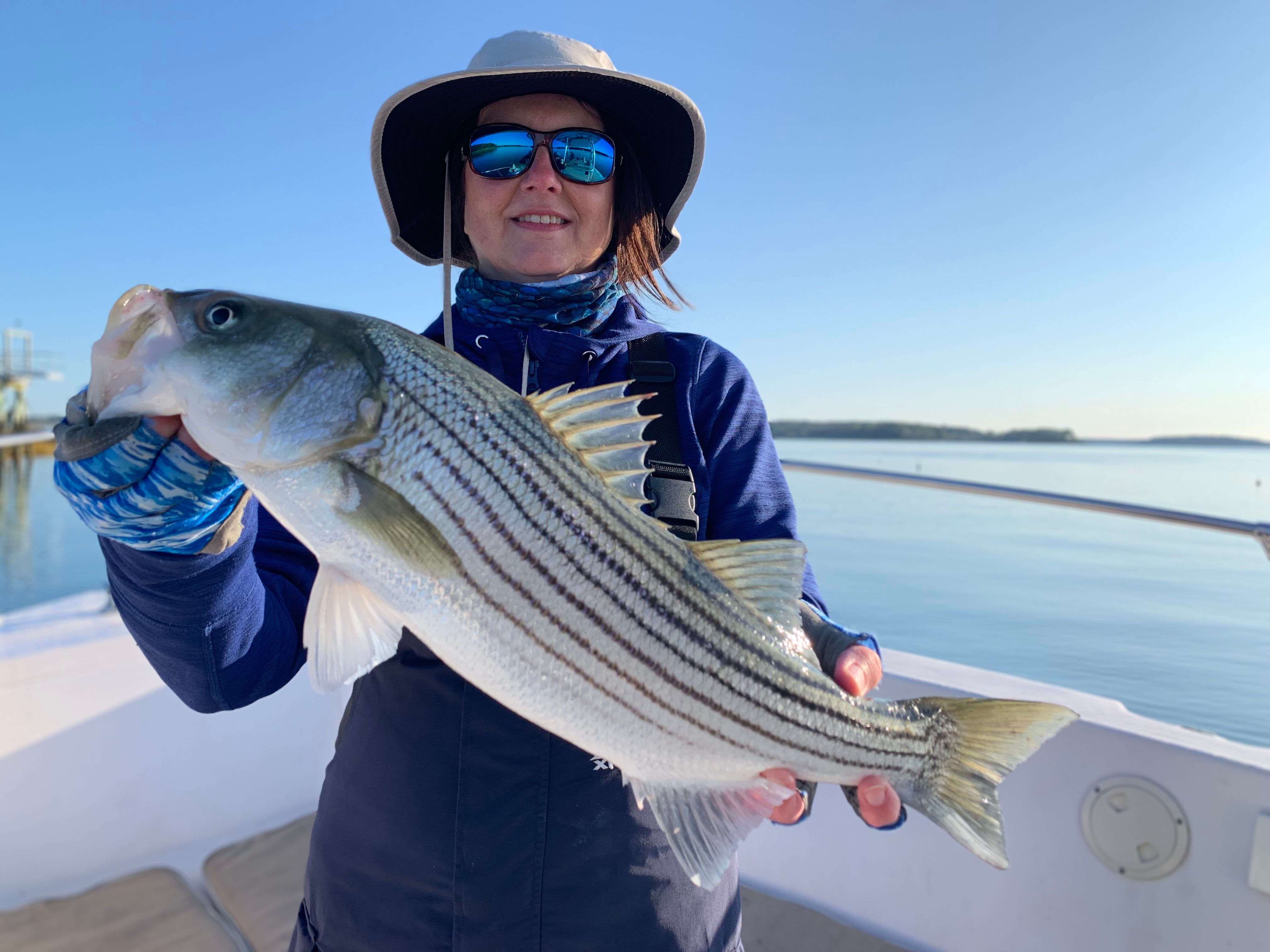 8 Hour Portland, Maine Inshore Striped Bass Bait Fishing 26' Grady ...