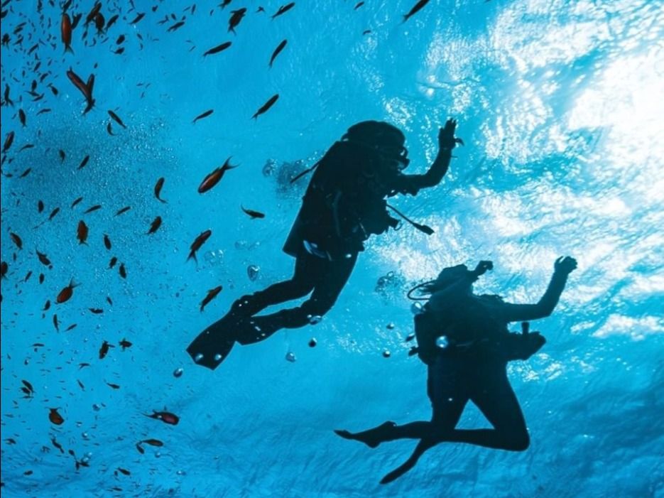 Two Tank Scuba Diving in Cabo San Lucas | Outguided