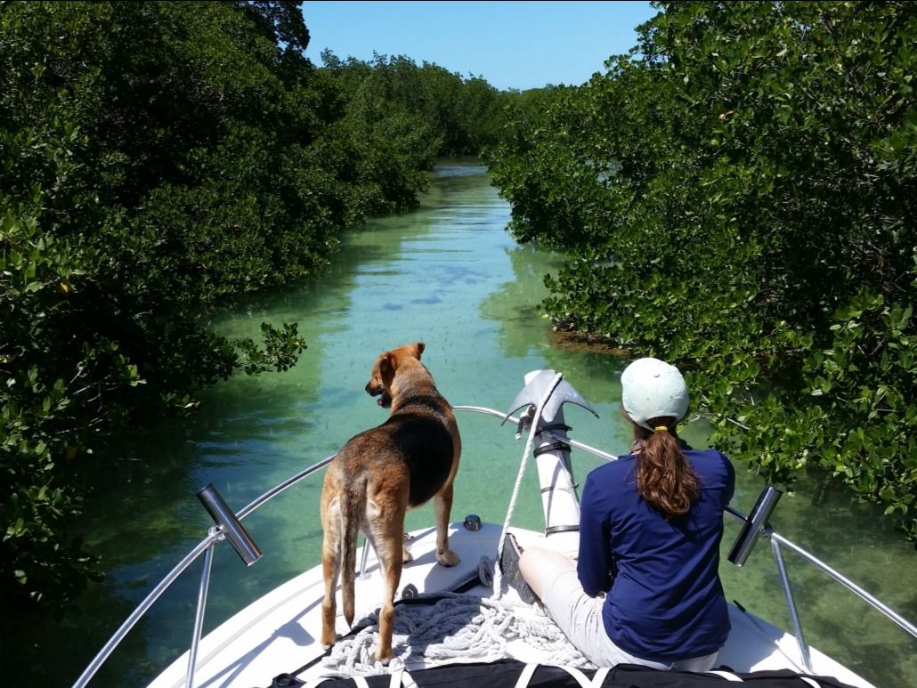 Full-Day South Keys Eco-Tour | Outguided