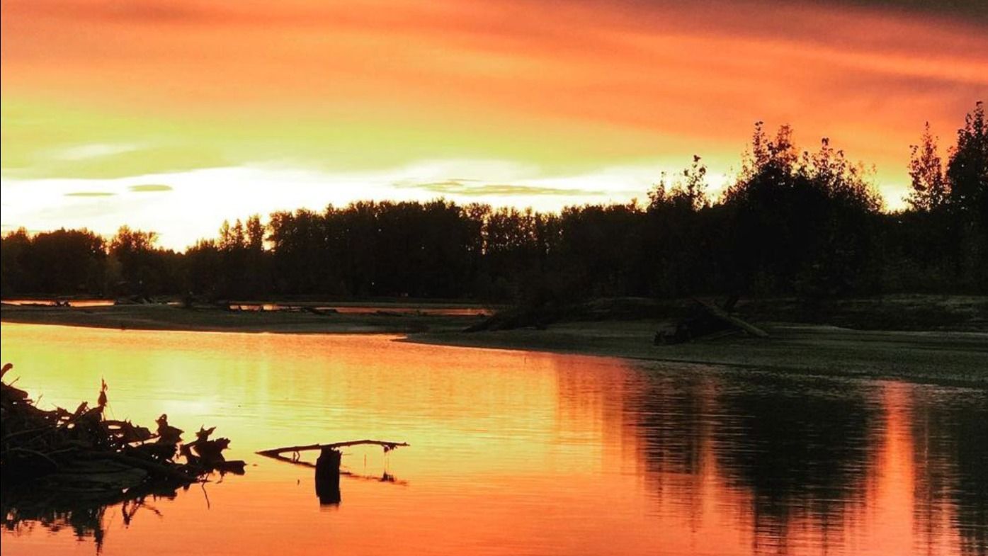 Fly-In Guided Fly Fishing along the Yentna River | Outguided