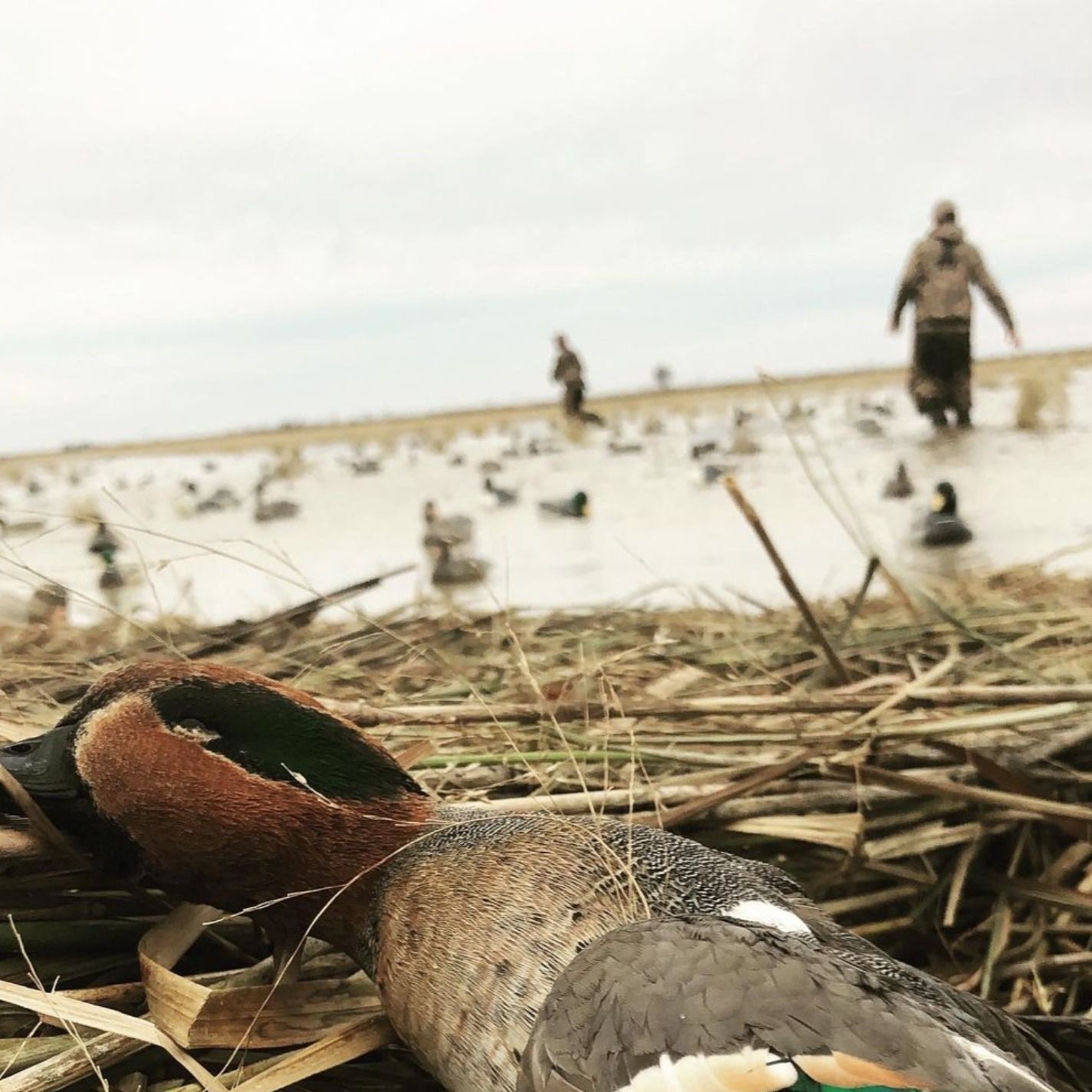 Full Day Pit Lease and Self Guided Waterfowl Hunting | Outguided