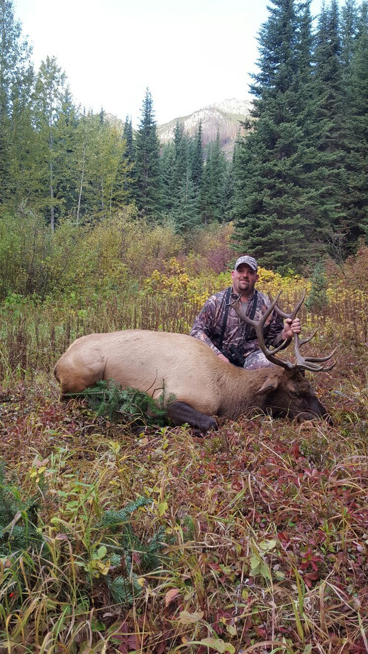 7-Day Mountain Goat/Elk Combo Hunt in BC | Outguided
