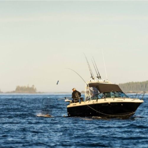 40-Hour Fishing Tour from Port Eliza Floating Lodge | Outguided