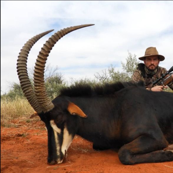 6 Days Safaris Free State Classic Marloth Park, Mpumalanga, Africa ...