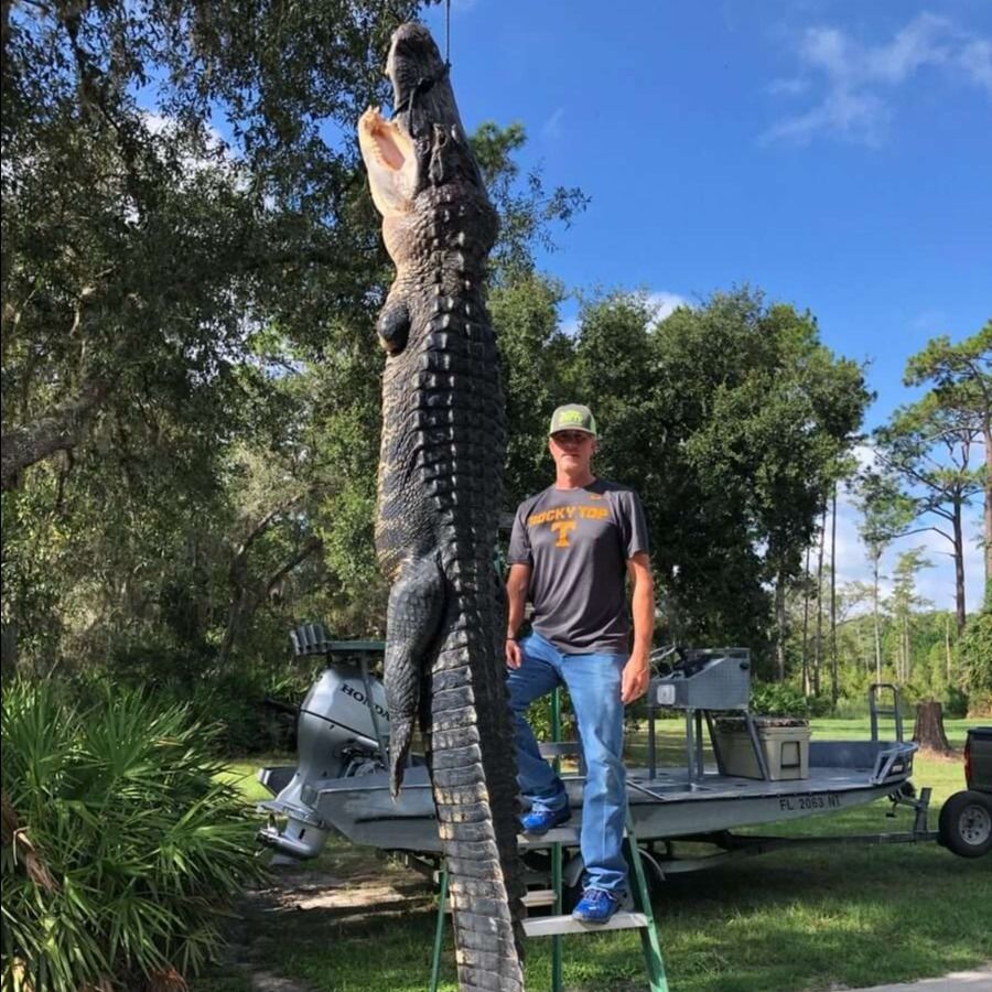 2-Day Gator Hunt | Outguided