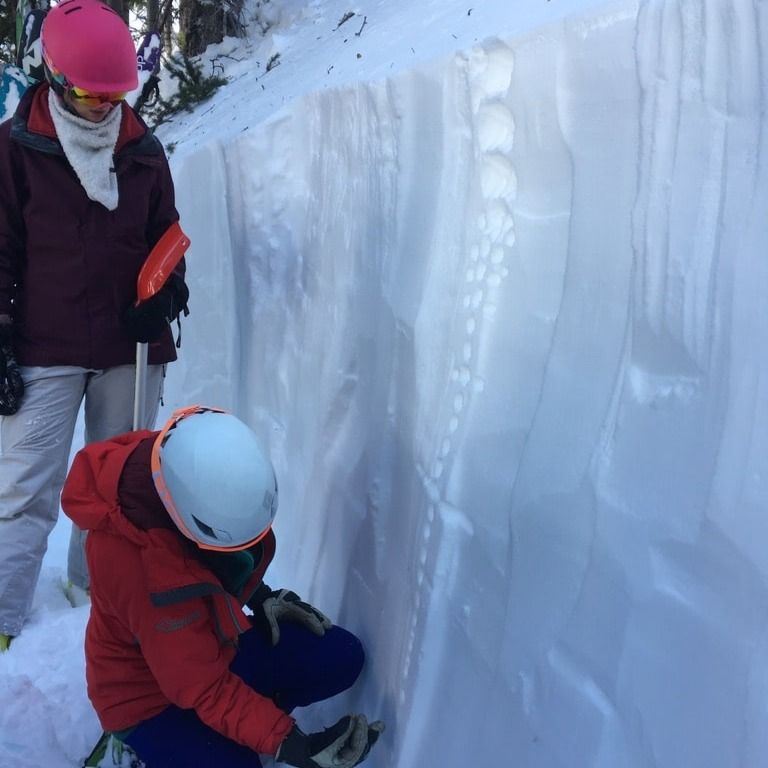Level 1 Avalanche Training | Outguided