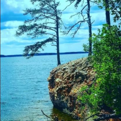 Lake Murray Guided Pontoon Twin Island Overlook Hike & 2 Hour Tour ...