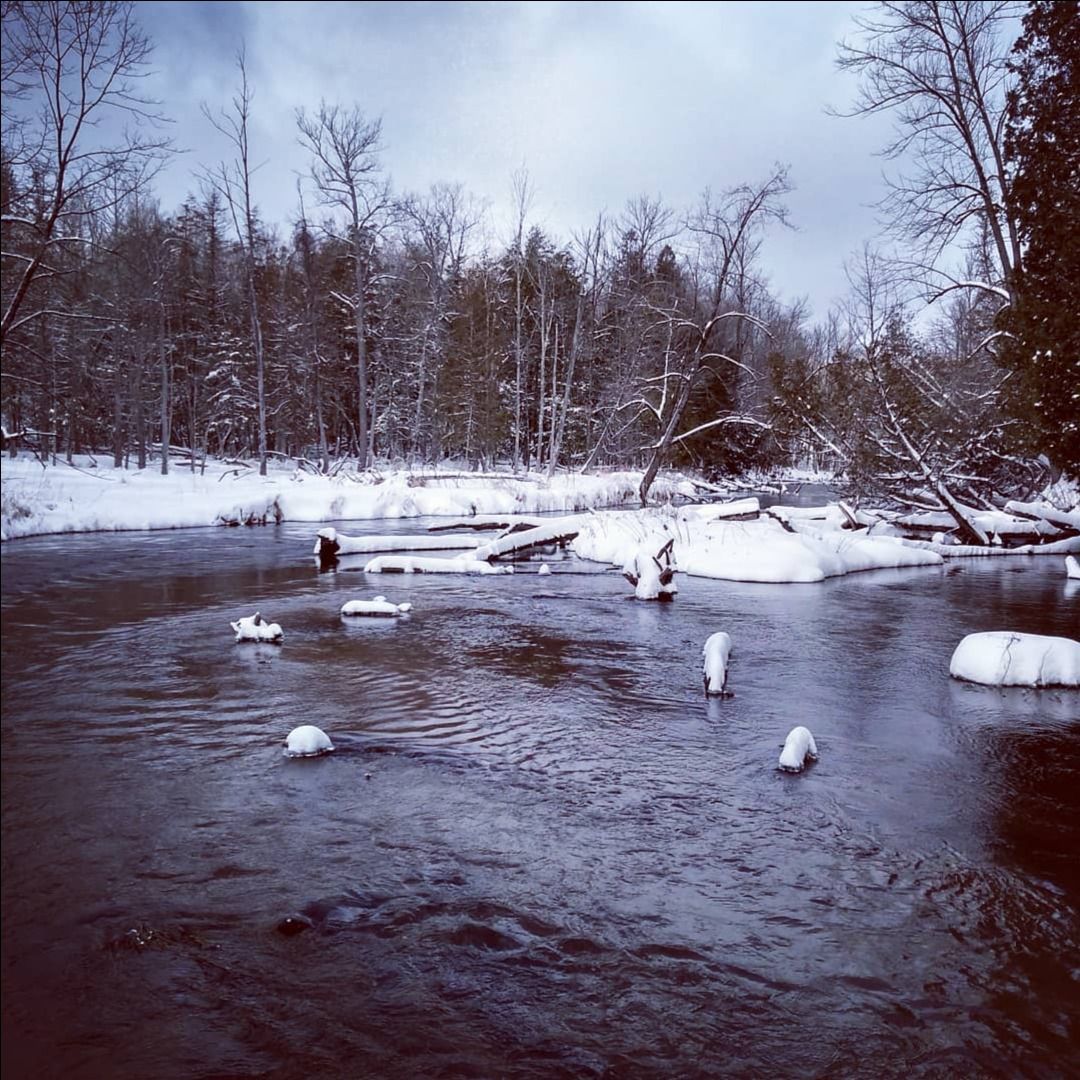 Guided Walk and Wade Tour | Outguided