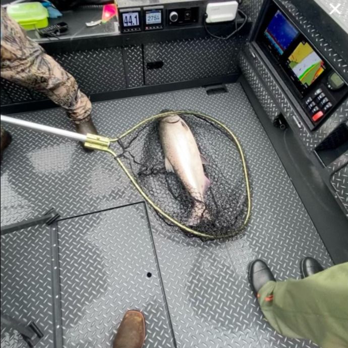 Fall Chinook | Outguided