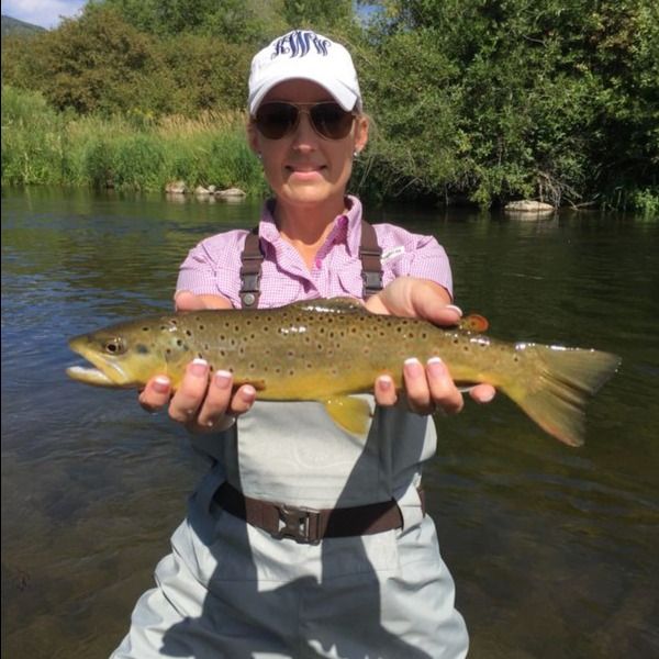 Half Day Guided Fly Fishing in the Provo River | Outguided