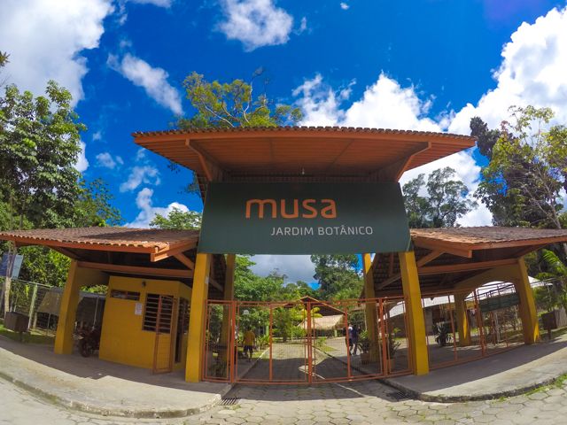 Museu da Amazonia (MUSA) in Manaus Including Observation Tower and ...