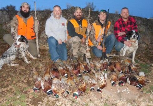 The 50 Rooster Package | Outguided