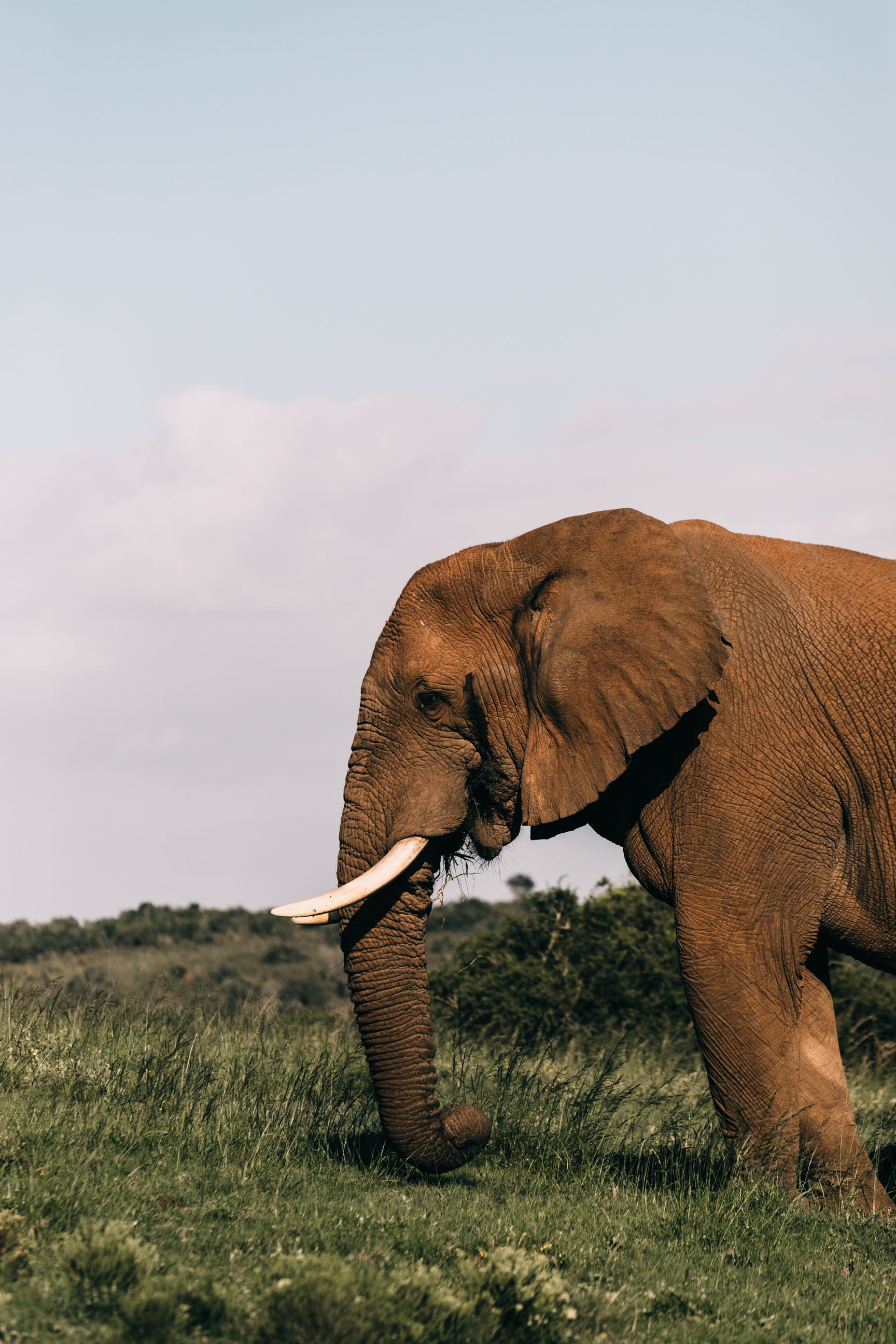 3 Days Masai Mara Tour | Outguided
