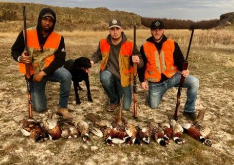 The 50 Rooster Package | Outguided