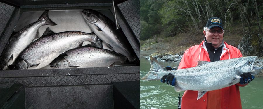 Full-Day Salmon Run Fishing in Coos Bay | Outguided