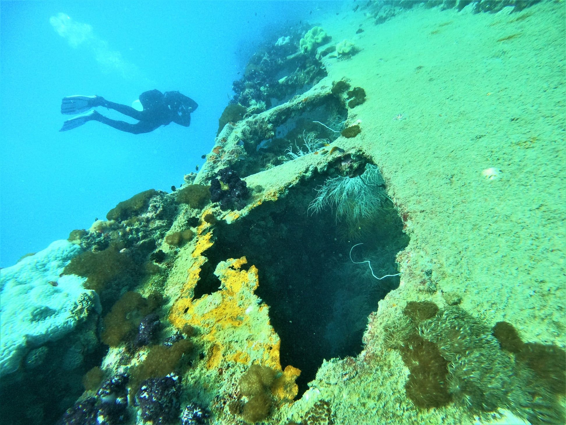 Day Trip Diving The S.S. Yongala Wreck in Australia | Outguided