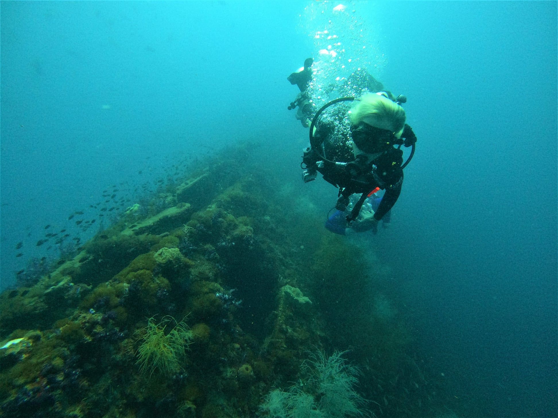 Day Trip Diving The S.S. Yongala Wreck in Australia | Outguided